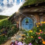 From Auckland: Hobbiton & Hamilton Gardens Small Group Tour - The full scoop on this unique day trip