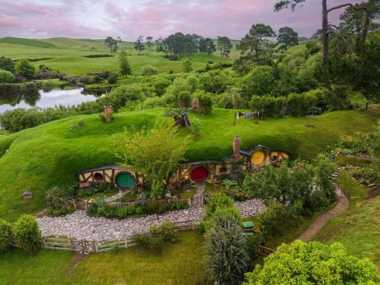 From Auckland: Hobbiton Movie Set Day Tour with Picnic Lunch - What Travelers Say