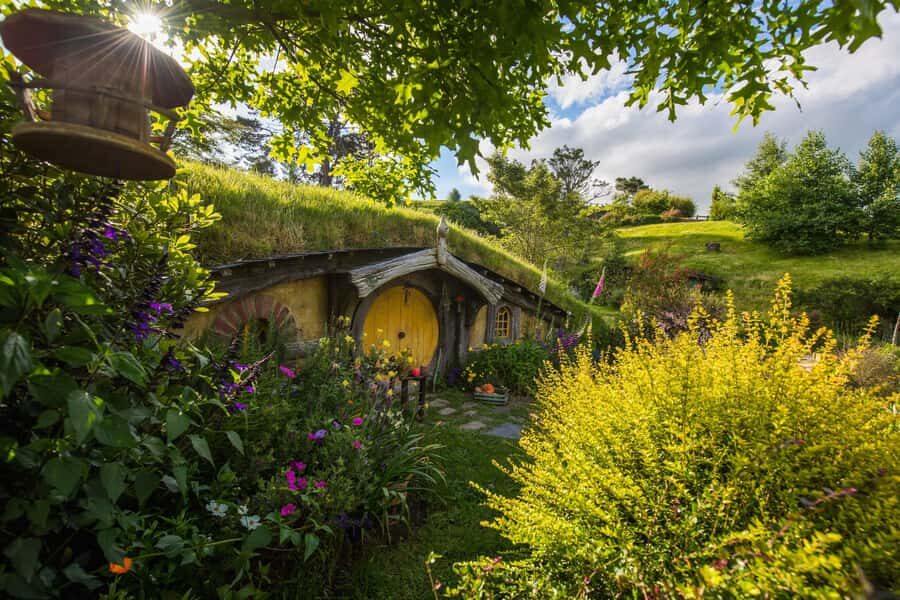 From Auckland: Hobbiton Private Transfers with Group Tour - Deep Dive into the Itinerary