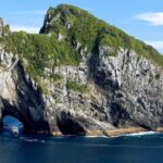 From Auckland: Hole in the rock cruise tour - Detailed Review: The Value of the Experience
