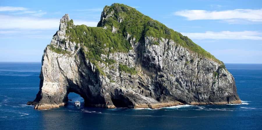 From Auckland: Hole in the rock cruise tour - Detailed Review: The Value of the Experience