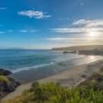 From Auckland: Kiwi Bird Encounter & 3-Course Dinner Tour - What Makes This Tour Special?