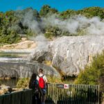 From Auckland : Rotorua Tepuia Tour with Haka and Hangi Lunch - Why This Tour Offers Excellent Value