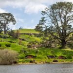 From: Auckland: Rotorua via Hobbiton Tour One Way Tour - What Travelers Say