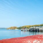 From Auckland: Waiheke Island Wineries' Tour - What Makes This Tour Stand Out?