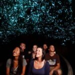 From Auckland: Waitomo Caves and Kiwi House Group Tour - Waitomo Glowworm Caves: A Starry Underground Experience