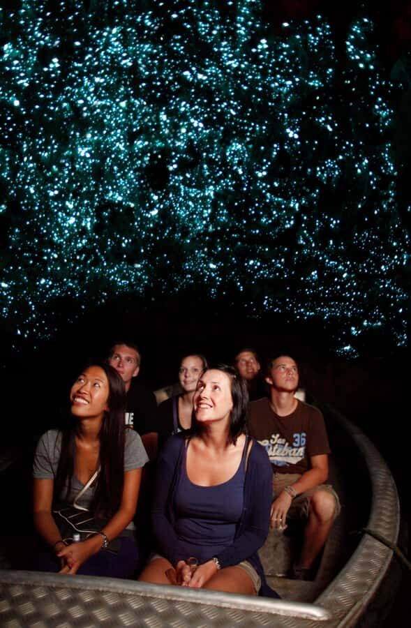 From Auckland: Waitomo Caves and Kiwi House Group Tour - Waitomo Glowworm Caves: A Starry Underground Experience