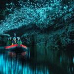 From Auckland: Waitomo Glowworm Cave Tour - What You Can Expect from the Waitomo Glowworm Cave Tour
