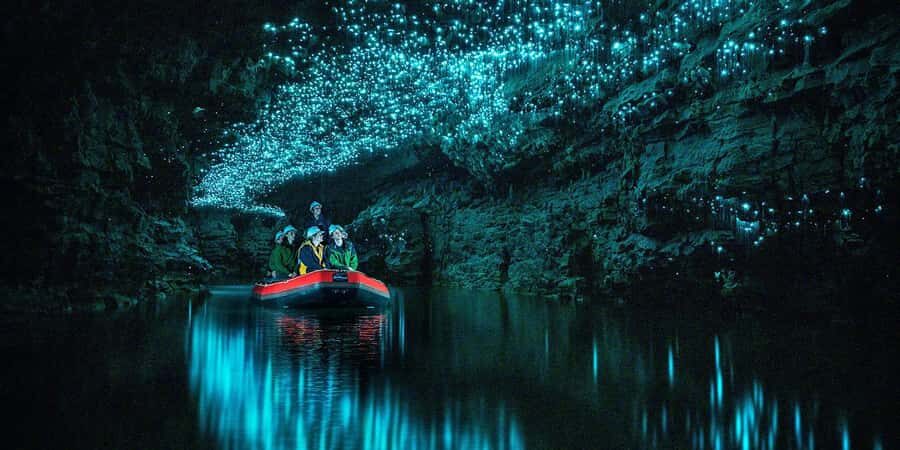 From Auckland: Waitomo Glowworm Cave Tour - What You Can Expect from the Waitomo Glowworm Cave Tour