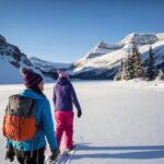 From Banff: Icefields Parkway & Abraham Lake Ice Bubbles - Snowshoeing to Peyto Lake’s Viewpoint