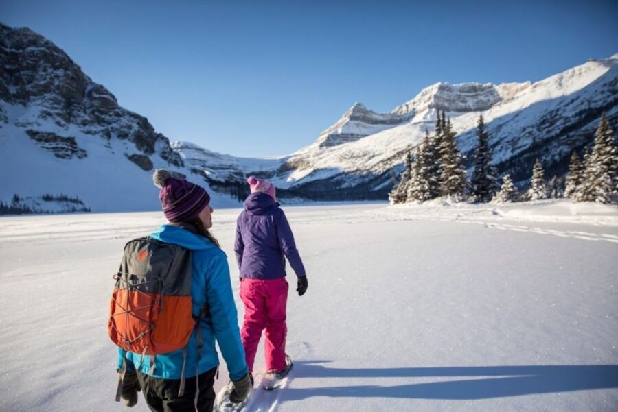 From Banff: Icefields Parkway & Abraham Lake Ice Bubbles - Snowshoeing to Peyto Lake’s Viewpoint