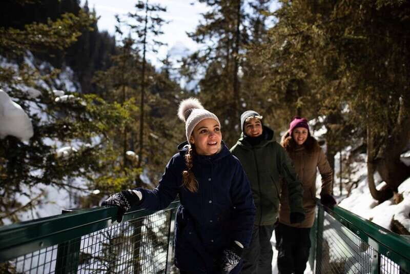 From Banff: Winter Wonderland; Lake Louise & Johnston Canyon - Who Will Love This Tour?