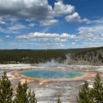 From Bozeman: Yellowstone Day Tour (Lower Loop) - What Makes This Tour Stand Out?