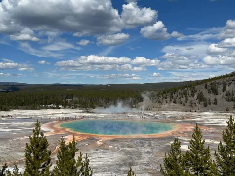 From Bozeman: Yellowstone Day Tour (Lower Loop) - What Makes This Tour Stand Out?