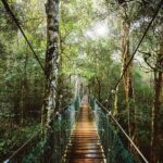 From Brisbane: Lamington National Park Rainforest Tour - Who Will Love This Tour?