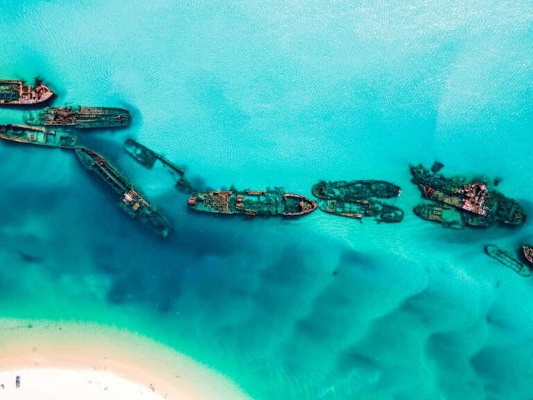 From Brisbane: Moreton Island Full-Day Trip - Practical Details