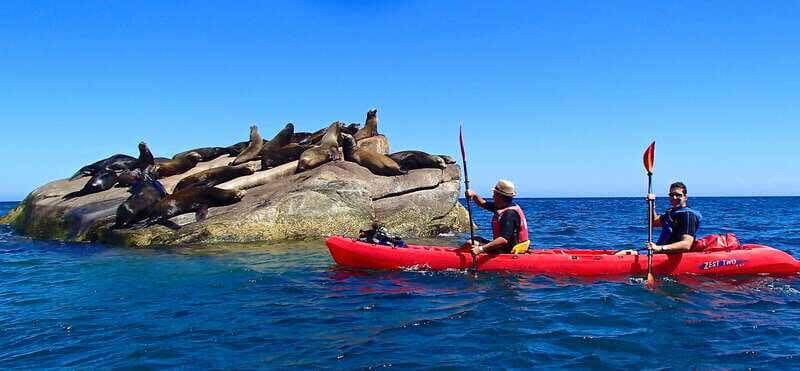 From Cabo: Cabo Pulmo Marine Park Snorkeling and Kayaking - What’s Included & What’s Not