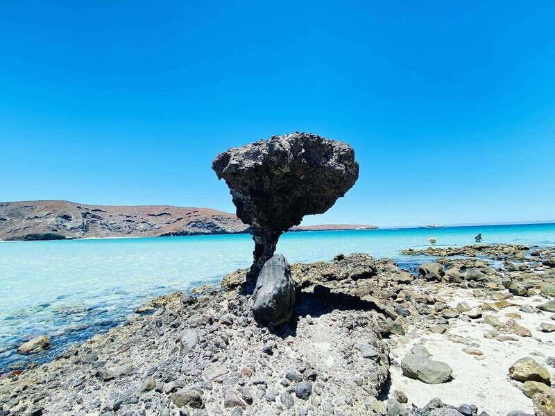 From Cabo/San José del Cabo: La Paz, Balandra & Todos Santos - What’s Included and What Isn’t