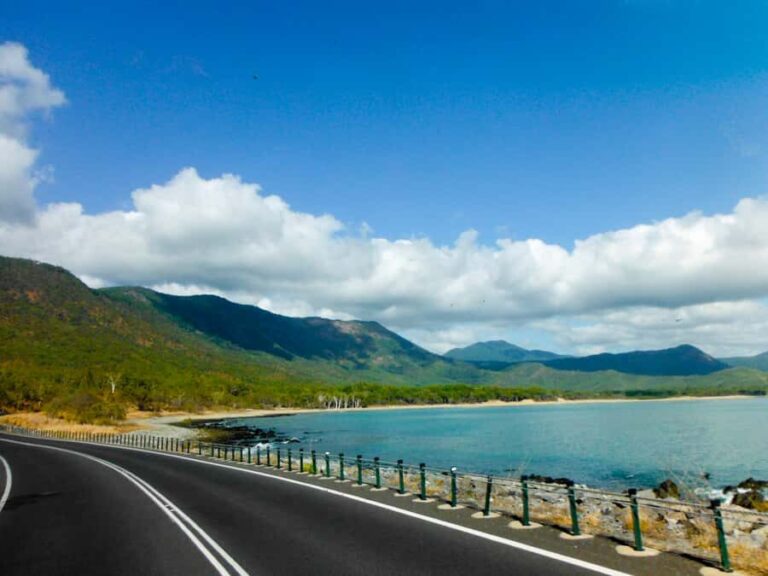 From Cairns: 2-Day Waterfall and Daintree Tour - The Daintree Rainforest and Crocodile Cruise