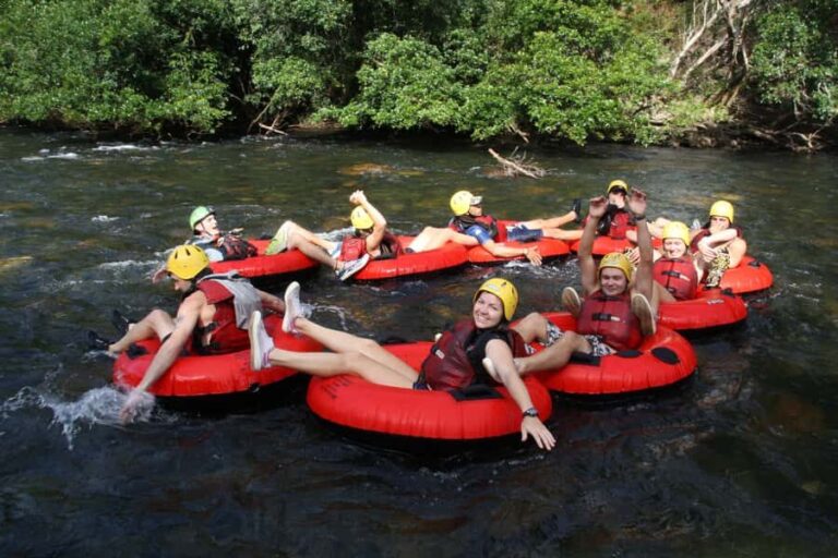 From Cairns and Northern Beaches: Rainforest River Tubing - What is Rainforest River Tubing?
