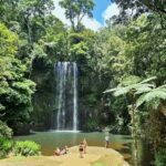 From Cairns: Atherton Tablelands and Paronella Park Day Trip - Practical Details & Tips