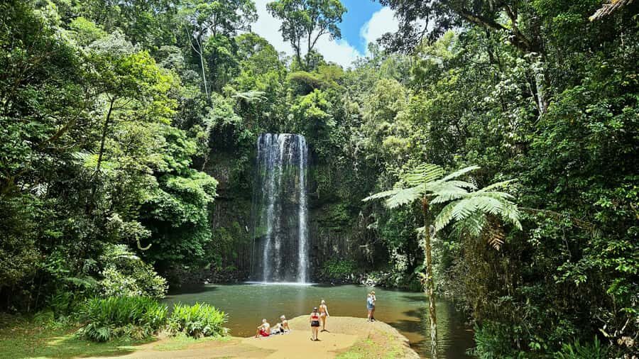 From Cairns: Atherton Tablelands and Paronella Park Day Trip - Practical Details & Tips