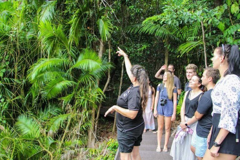 From Cairns: Daintree Wilderness & Cape Tribulation Bus Tour - Practical Aspects & Tips