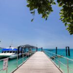 From Cairns: Fitzroy Island Day Trip by Ferry - Why Choose the Fitzroy Island Day Trip?