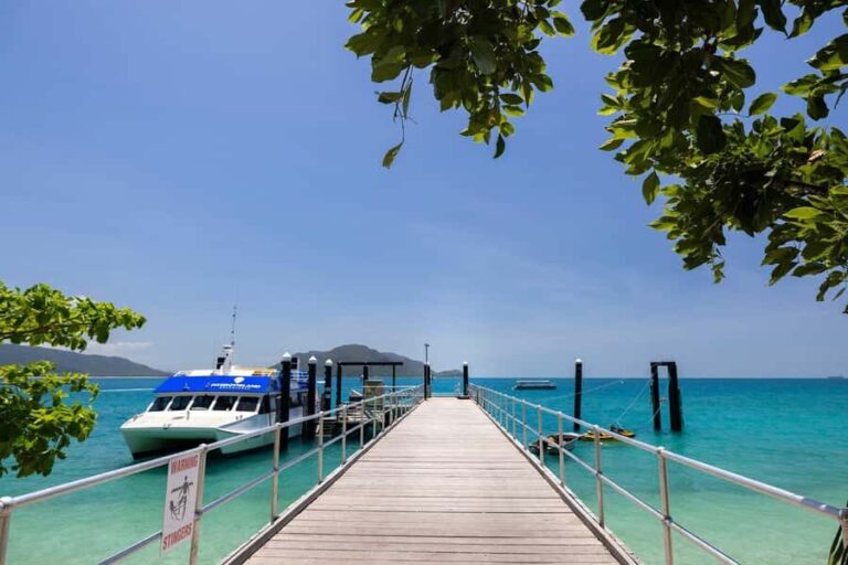 From Cairns: Fitzroy Island Day Trip by Ferry - Why Choose the Fitzroy Island Day Trip?