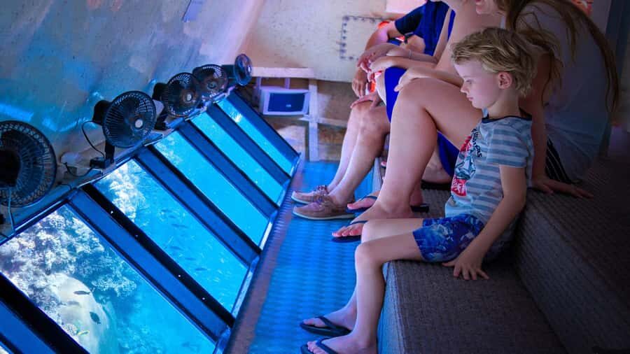 From Cairns: Frankland Island All-Inclusive Day Tour - The Itinerary in Detail