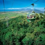 From Cairns: Full-Day Kuranda Army Duck Experience Tour - Transport, Timing, and Practical Details