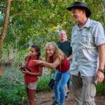 From Cairns: Rainforest & Nocturnal Wildlife Tour - What to Expect from the Itinerary