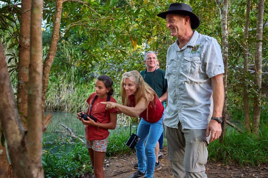 From Cairns: Rainforest & Nocturnal Wildlife Tour - What to Expect from the Itinerary