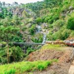 From Cairns: Self-Guided Kuranda Trip with Train and Skyrail - Transportation & Overall Value