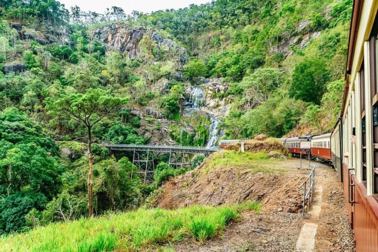 From Cairns: Self-Guided Kuranda Trip with Train and Skyrail - Transportation & Overall Value