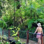 From Cairns: Waterfall Tour with Lunch - What Makes This Tour Stand Out?