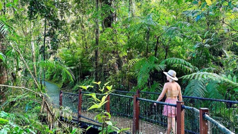 From Cairns: Waterfall Tour with Lunch - What Makes This Tour Stand Out?