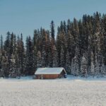 From Calgary: Moraine, Lake Louise & Johnston Canyon- Shared Tour - Price and Value Analysis