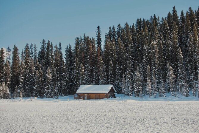 From Calgary: Moraine, Lake Louise & Johnston Canyon- Shared Tour - Price and Value Analysis