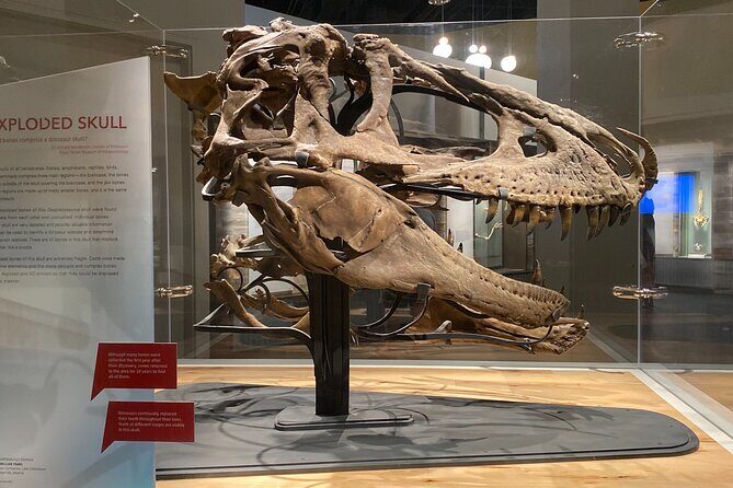 From Calgary: Private Tour to Royal Tyrrell Museum & Drumheller - What Does the Experience Feel Like?