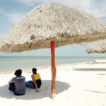 From Campeche: Flamingo Private Tour - Authentic Experiences and Why They Matter