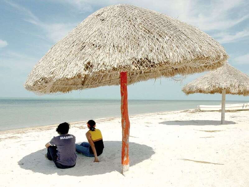 From Campeche: Flamingo Private Tour - Authentic Experiences and Why They Matter