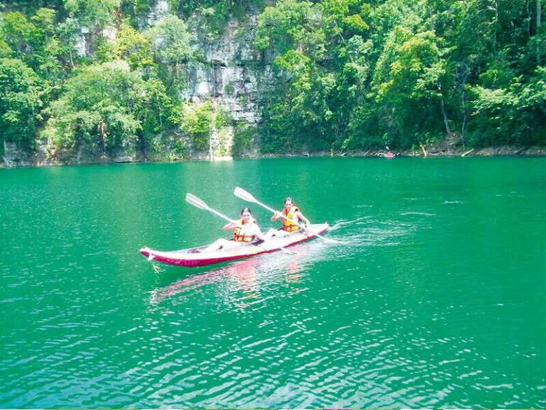 From Campeche: Miguel Colorado Cenotes Tour - Pricing and Value