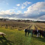From Canberra: Murrumbateman Wineries Full-Day Tour - The Itinerary: What You Can Expect