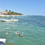 From Cancun: ATV EXPRESS Cenote Adventure with lunch - Exploring Cenote Las Mojarras