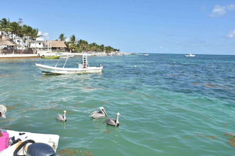 From Cancun: ATV EXPRESS Cenote Adventure with lunch - Exploring Cenote Las Mojarras