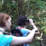 From Cancun: Bird Watching Day Tour - An Overview of the Tour Experience