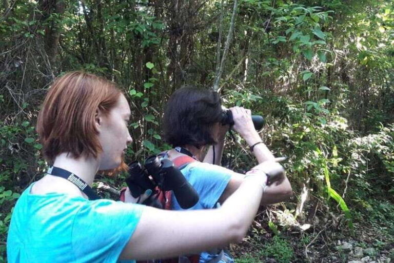 From Cancun: Bird Watching Day Tour - An Overview of the Tour Experience