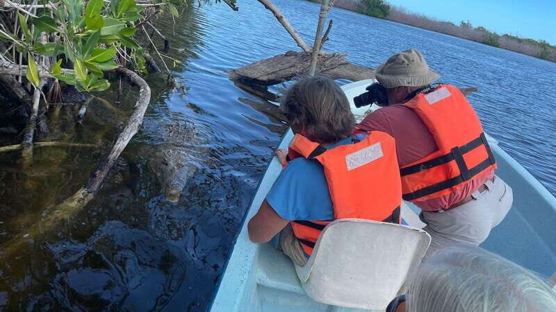 From Cancun: Rio Lagartos and Las Coloradas Day Trip - What Sets This Tour Apart?