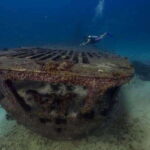 From Cancun: Shipwreck Dives Experience in Puerto Morelos - What to Expect from the Puerto Morelos Shipwreck Dives Experience